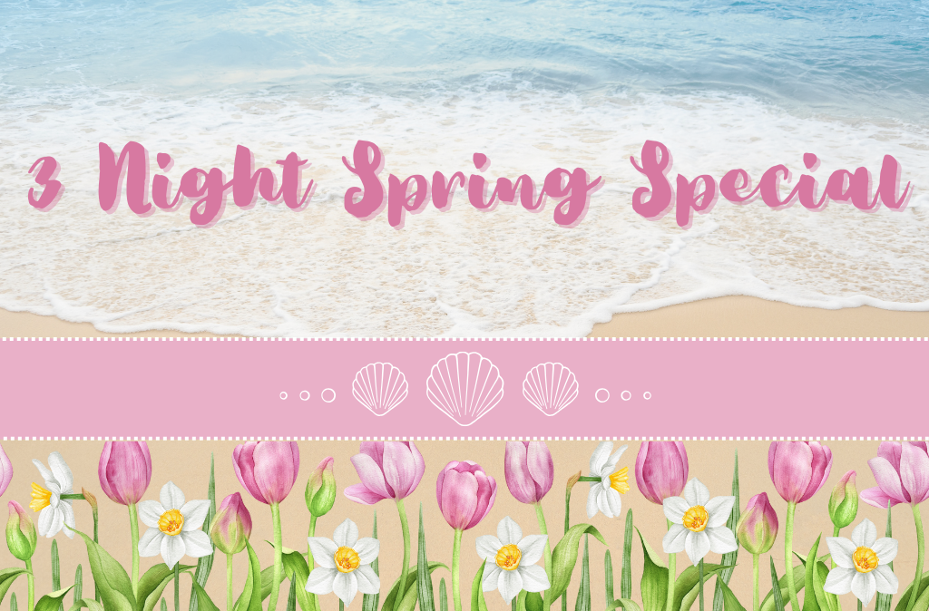 Spring 3 Night Midweek Special - Bristol Plaza Resort Motel Wildwood Crest